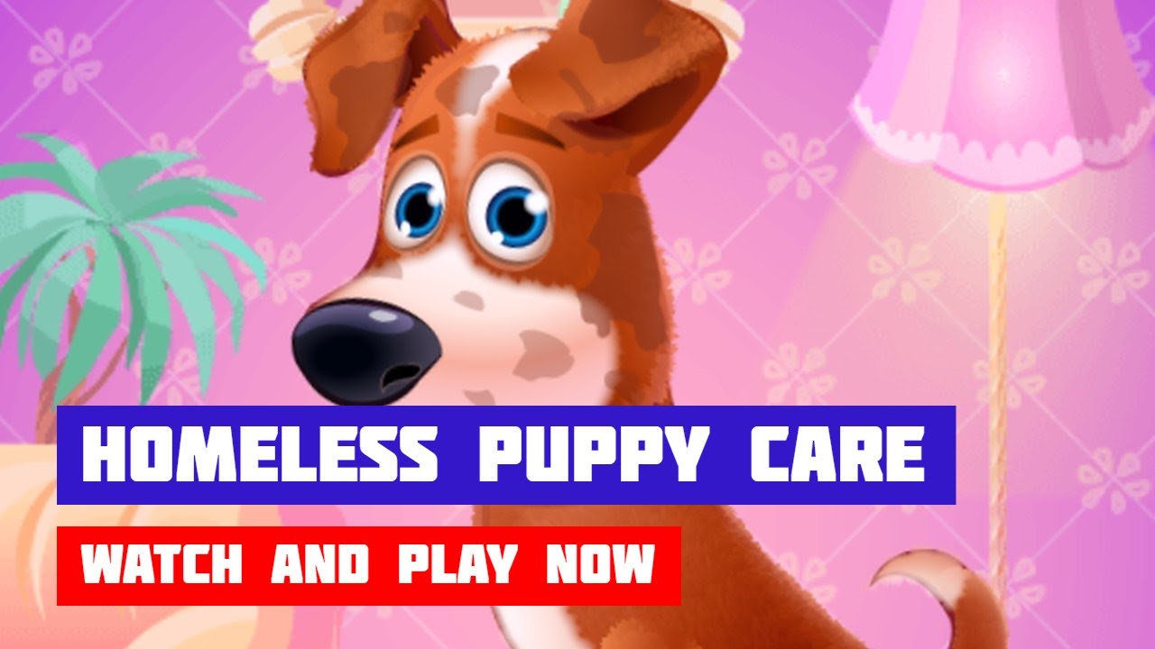 Homeless Puppy Care · Game · Gameplay - YouTube