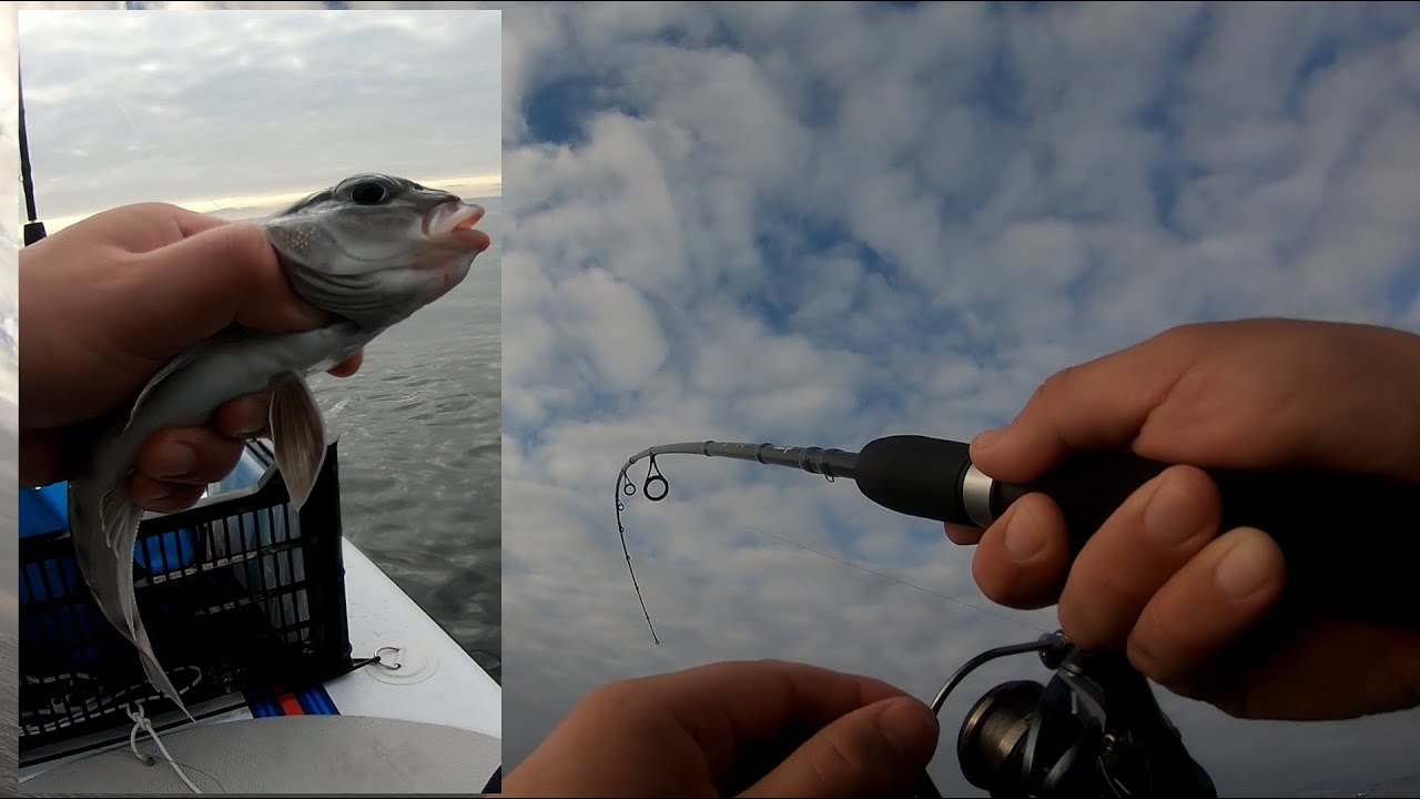 Pesca de blanquillos en Stand Up Paddle (SUP) Chile | RAW POV GOPRO ...