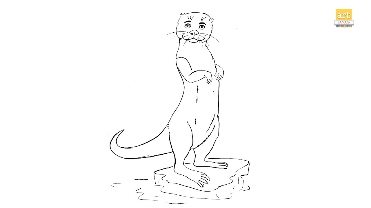 How to draw An Otter drawing II Otter drawing Step by step II part 01 ...