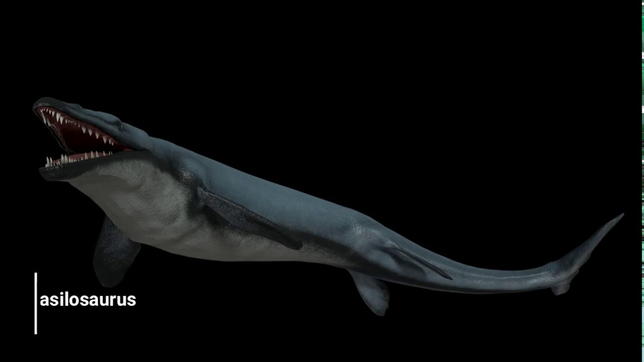 Basilosaurus Asset Pack - YouTube