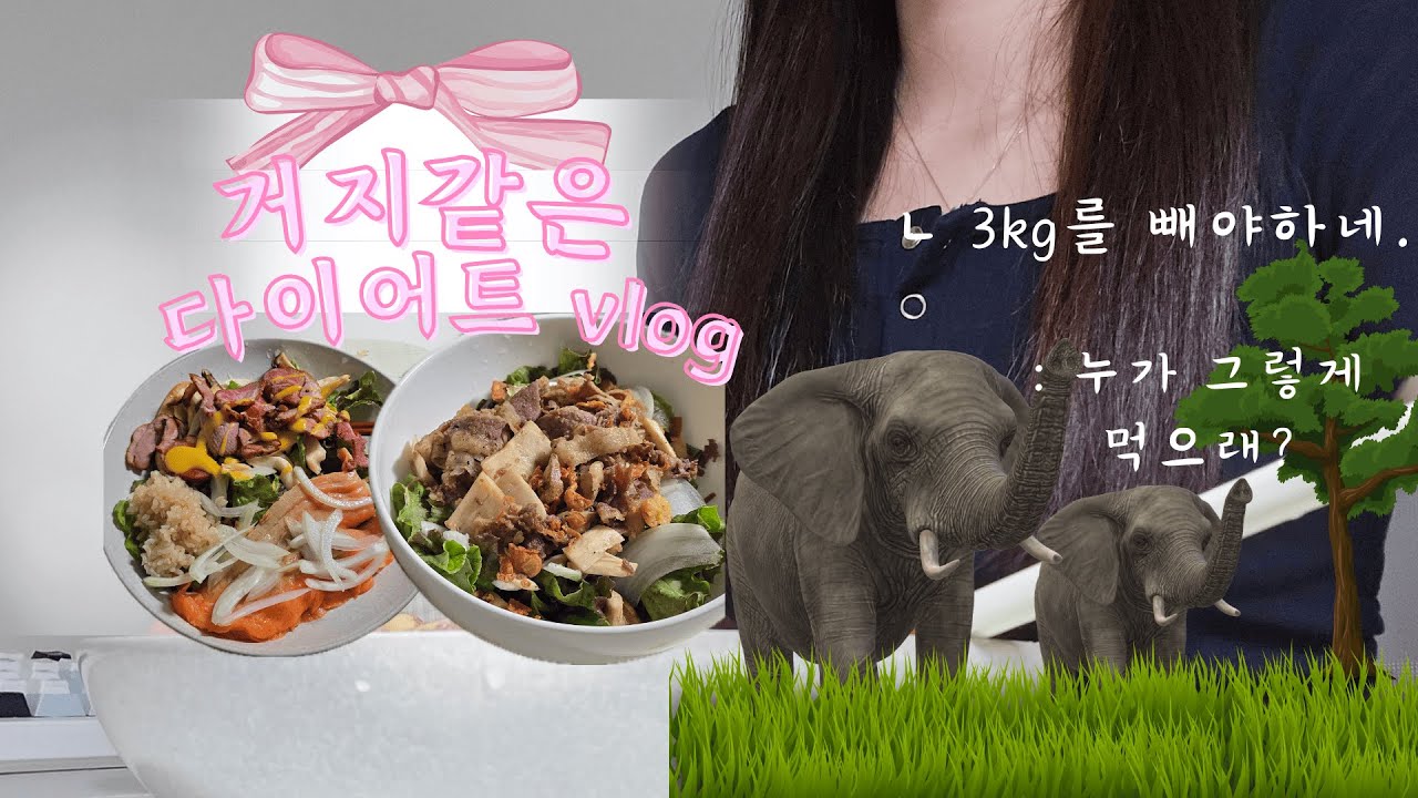 🐣 샐러드 처묵 🐘 vlog | 49kg에서 3kg 빼기, 샐러드 먹는 꿀팁(?), 급하게 찐 살 느긋하게 뺴기, 가을에 올리려고 했는데 왜 겨울이 된거지? - YouTube