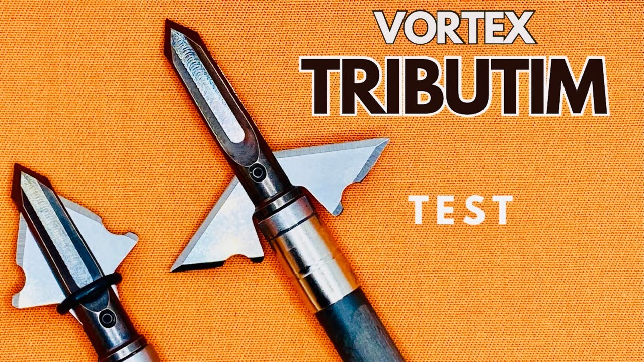 VORTEX TRIBUTIM: Broadhead Test - YouTube