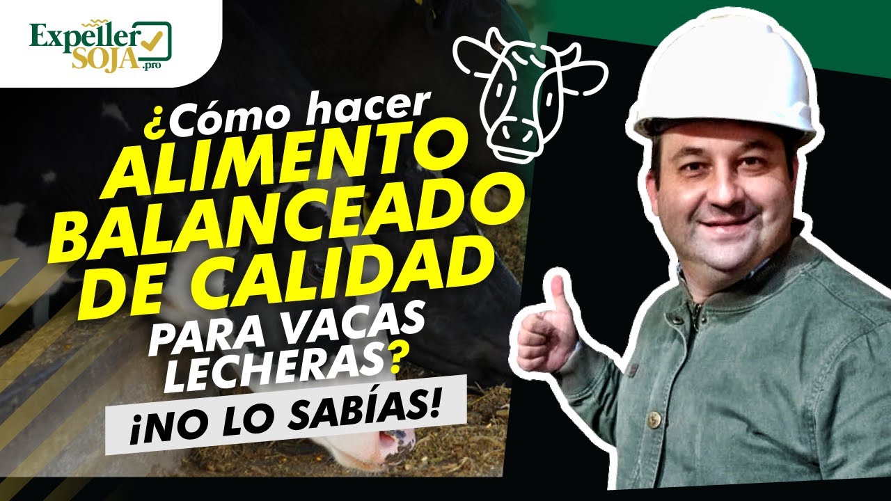 Fabricar Concentrado o Pienso Para Ganado Lechero / Vacas Lecheras 🐮 【 Expeller de Soja 】 ⚡🌿 ...