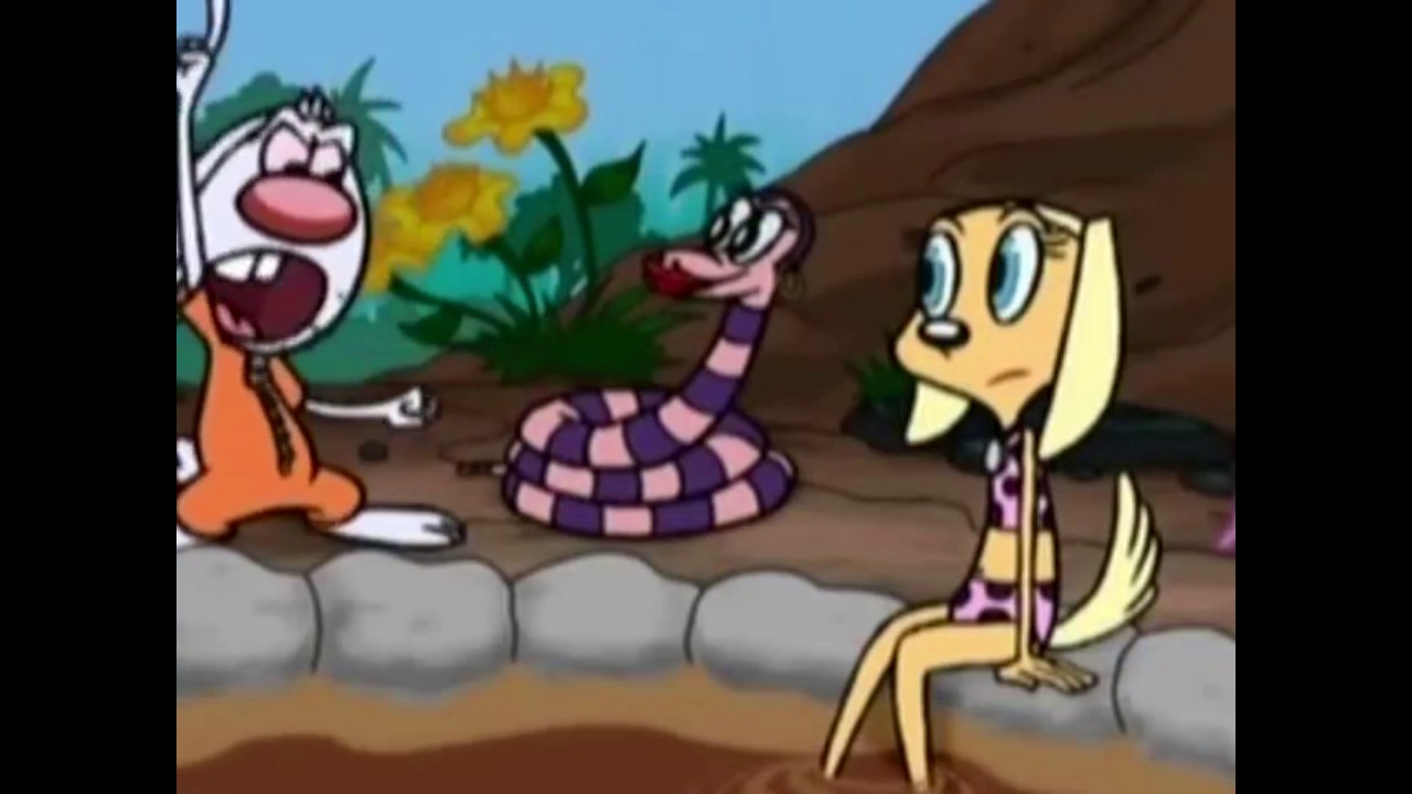Brandy & Mr Whiskers | THE ANIME - YouTube