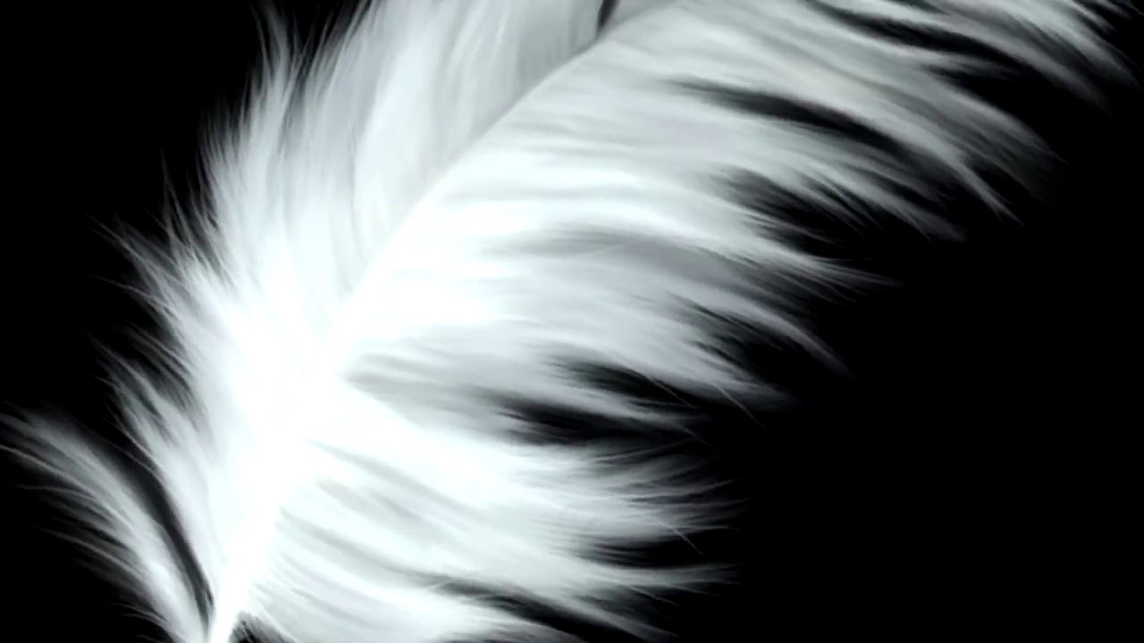 Feather Overlay Transition - YouTube