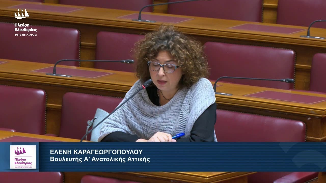 Έλενα Καραγεωργοπούλου: Τοποθέτηση στην Επιτροπή Θεσμών και Διαφάνειας ...