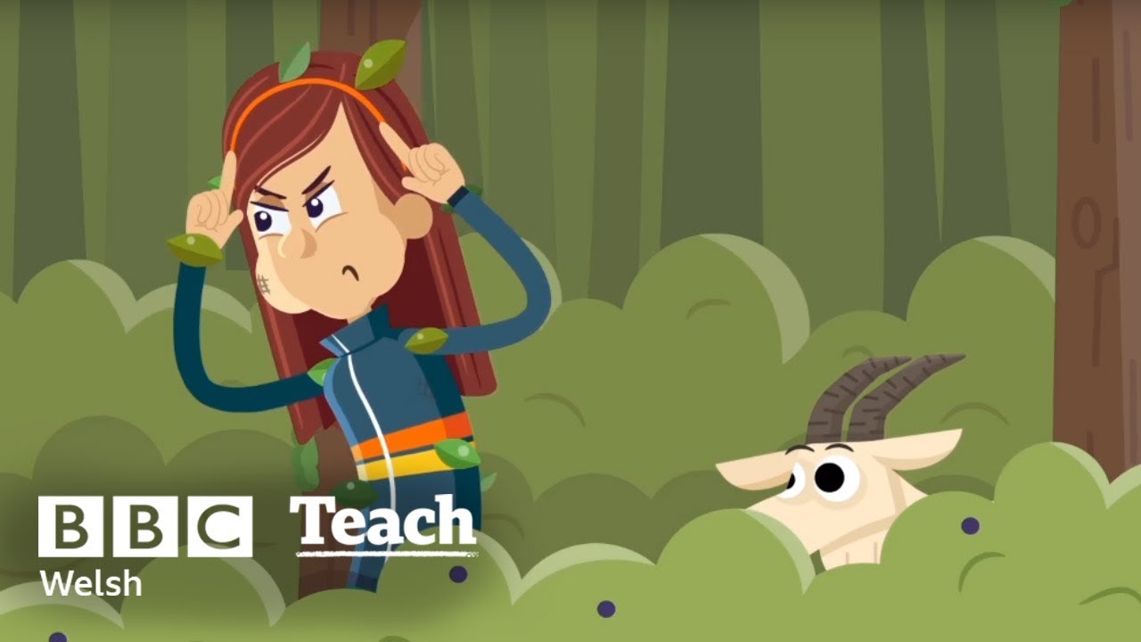 Cadw’n heini a darganfod anifeiliaid | Primary Welsh Second Language ...