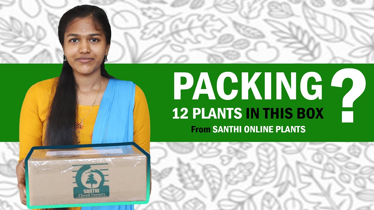 Packing plants from SOP | Upgraded Box For your Plants Safety | plants ...