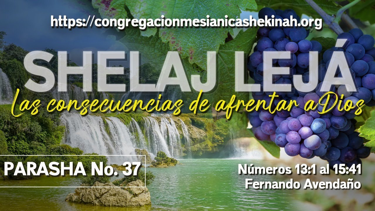 Shelaj Leja. Las consecuencias de afrentar a Dios. Parashá # 37 - YouTube