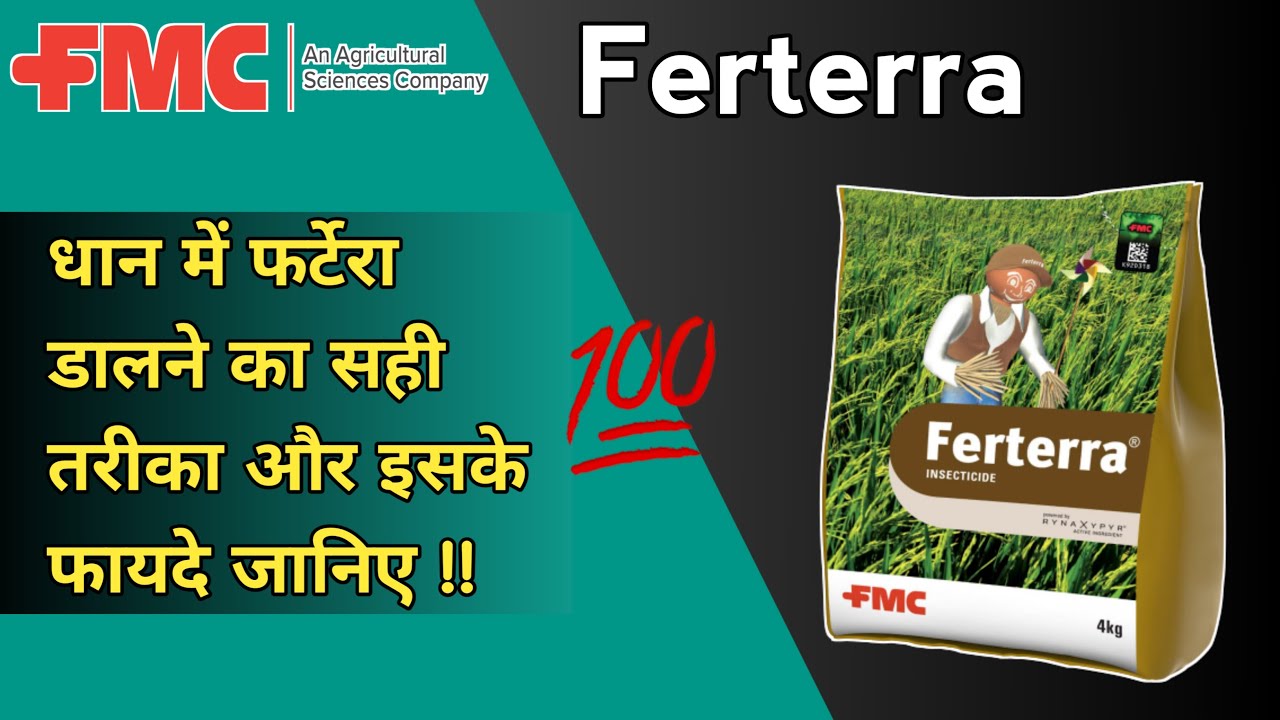 FMC Ferterra Insecticide | धान और गन्ने की फसल में इसका प्रियोग कब और ...