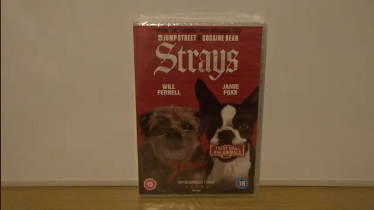 Strays (UK) DVD Unboxing - YouTube