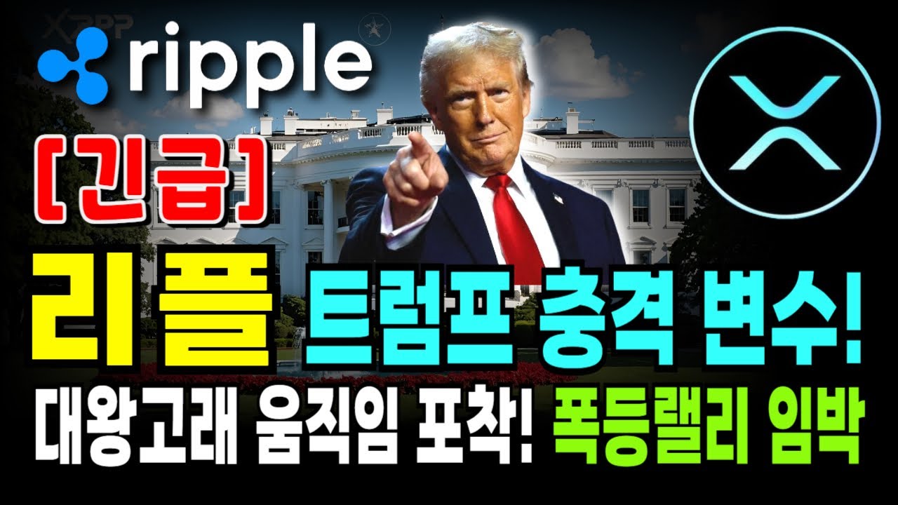 리플 Xrp 전망 소송 끝난거 맞아 교차소송 흔들리지 마세요 이때 폭등랠리 시작된다 리플 리플전망 리플코인 Xrp 엑스알피 Youtube