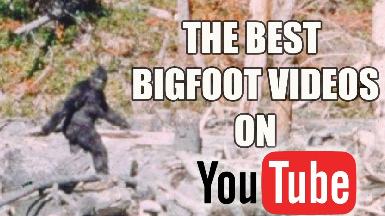 The Best Bigfoot Videos on YouTube (Zoomed-In) [HD] - YouTube