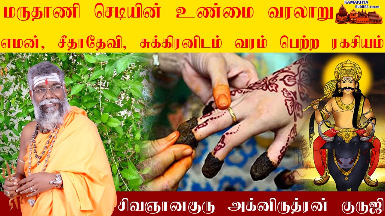 இதுவரை யாரும் சொல்லாத மருதாணி செடியின் உண்மை வரலாறு பகுதி 1 | history ...