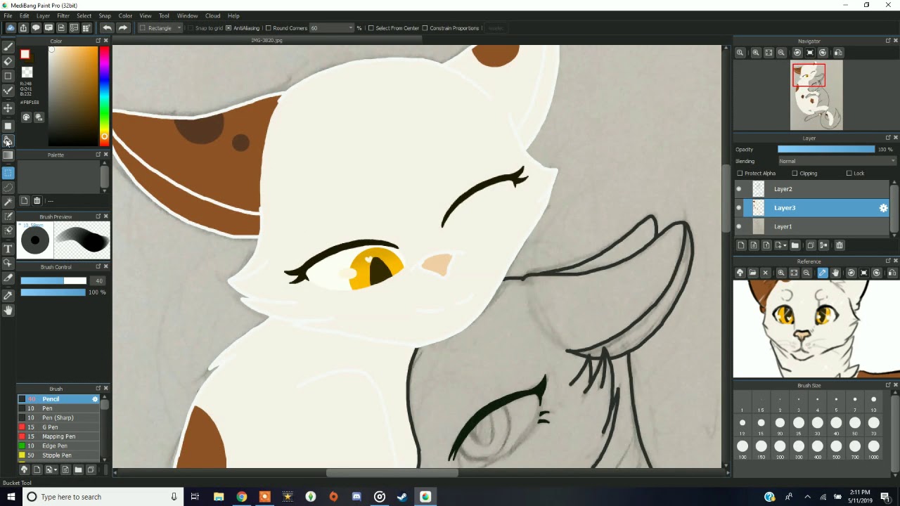 Dapplepelt and Featherwing *Warriors OC speedpaint* - YouTube