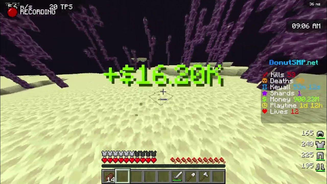 HOW TO MAKE BILLIONS ON DONUT SMP!!!!!!!! - YouTube