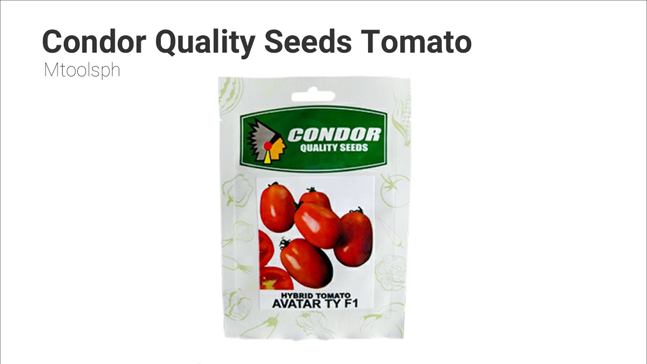 Condor Quality Seeds Tomato - YouTube