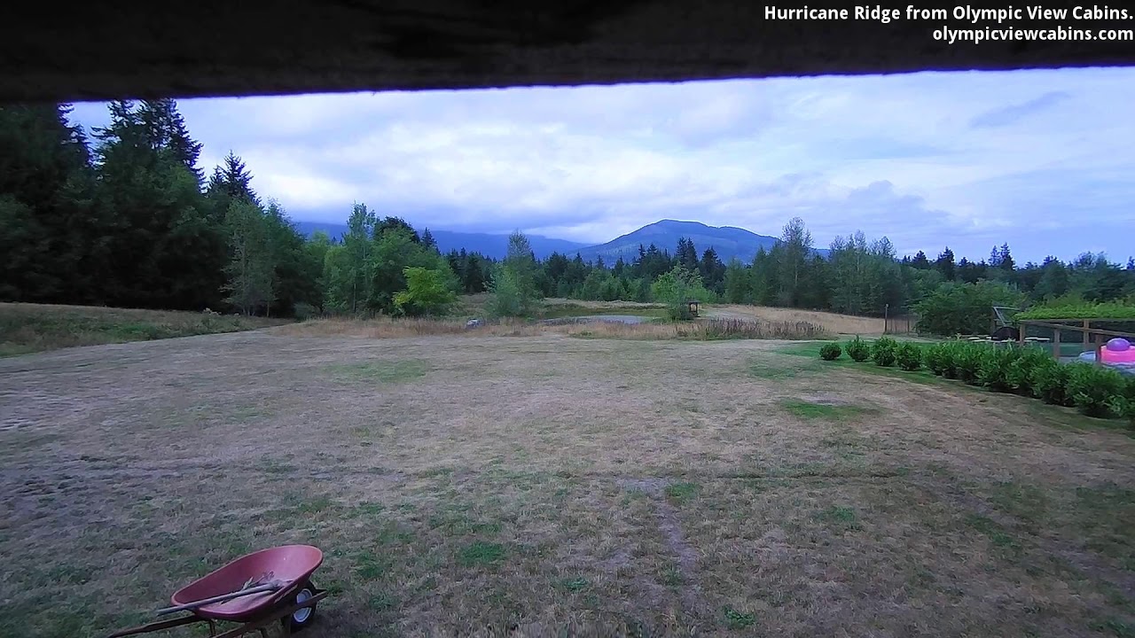 2019-08-17 Olympic View Cabins Hurricane Ridge Cam - YouTube