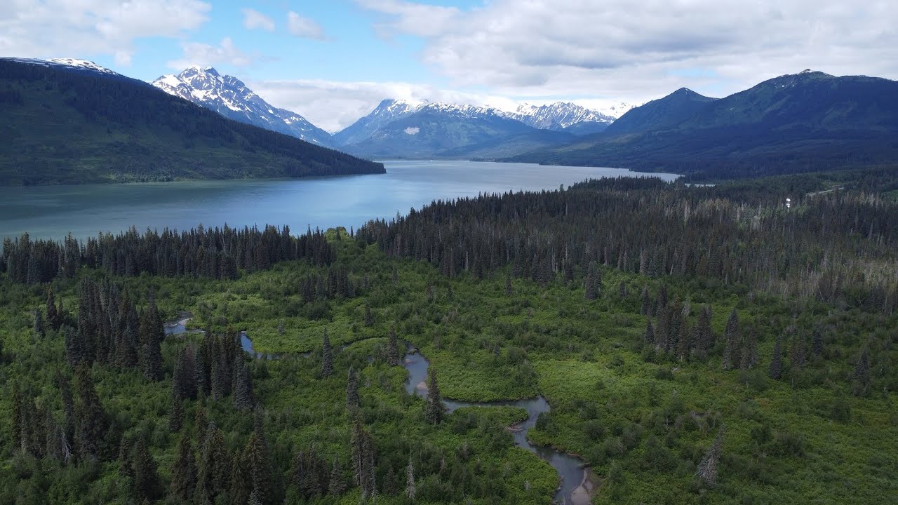 Into the Wild 4. Aerial Views of Hanna Creek and Meziadin Lake on BC's ...