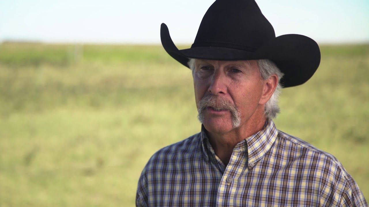 CWA 2017 General Commercial - YouTube