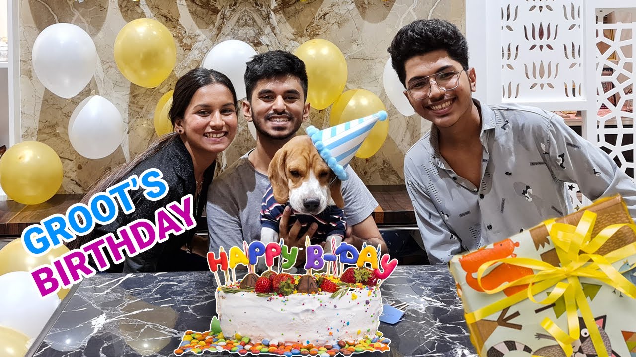 Celebrating our Beagle's 1st Birthday (Groot's Happiest Day) - YouTube