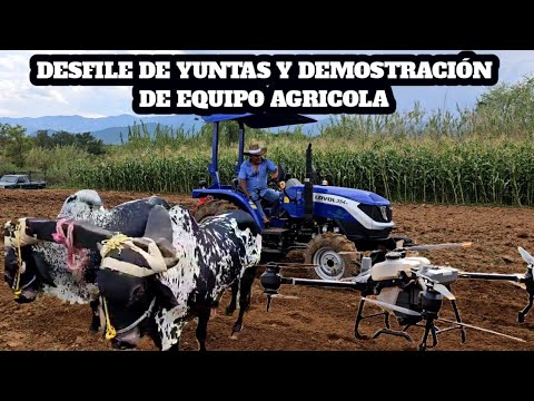 Desfile de Yuntas de Toros Caballos y Demostración de Maquinaria ...