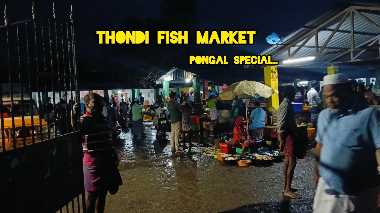 Thondi Fish Market 🐟 Pongal Special.. Sales | #thondi #fishmarket# ...