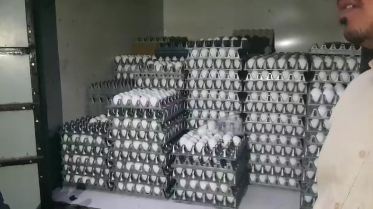 Duplicate Egg racket bursted, 8000 pcs siezed - YouTube