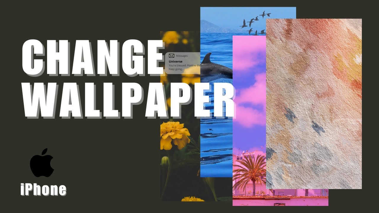 iPhone Basic Tutorial!! How to Change Wallpaper on iPhone? Choose Your ...