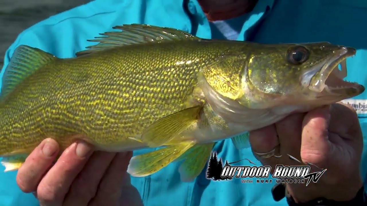 Mid Summer Walleye Techniques from Devils Lake, North Dakota - YouTube
