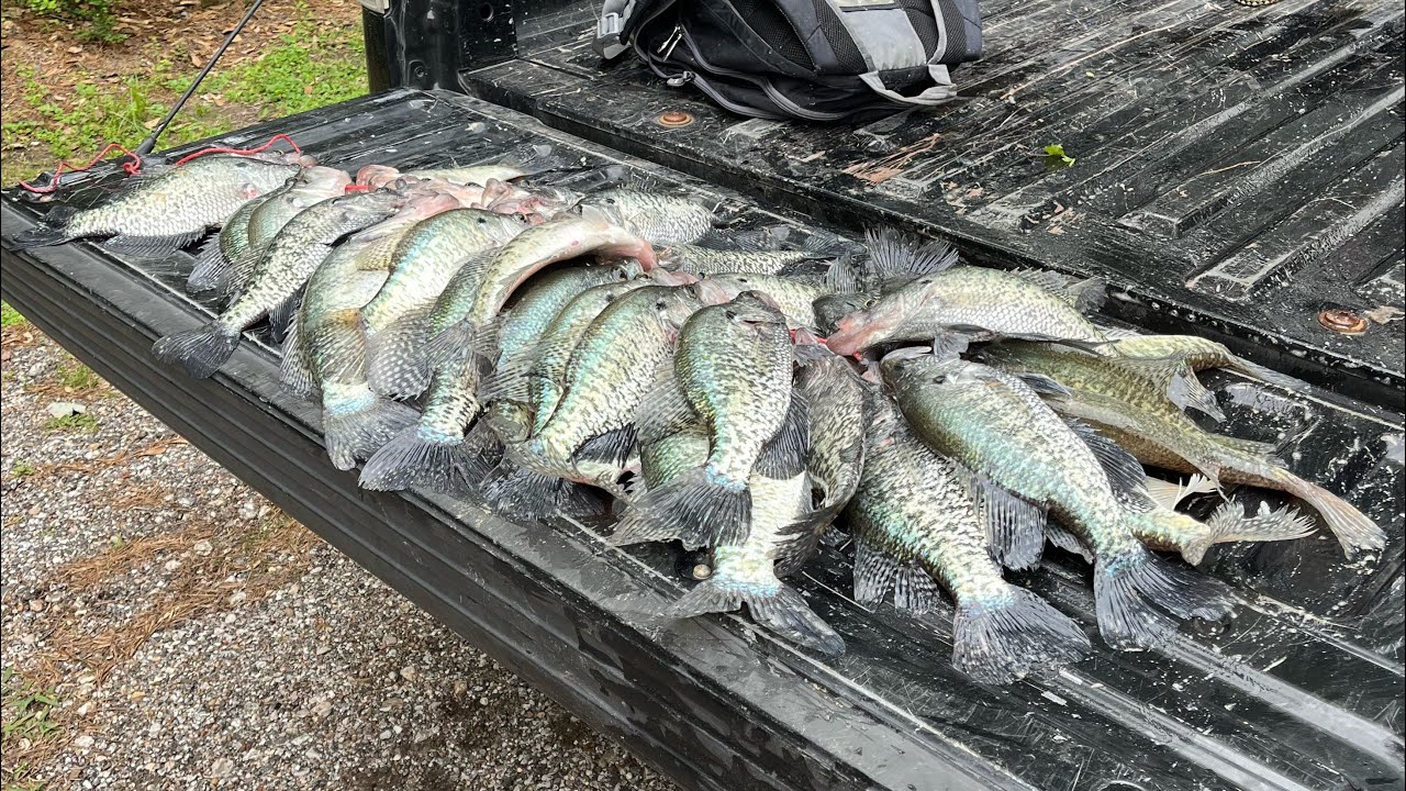 Crappie Fishing the Spawn Around Shallow Boat Ramps and Slips! - YouTube