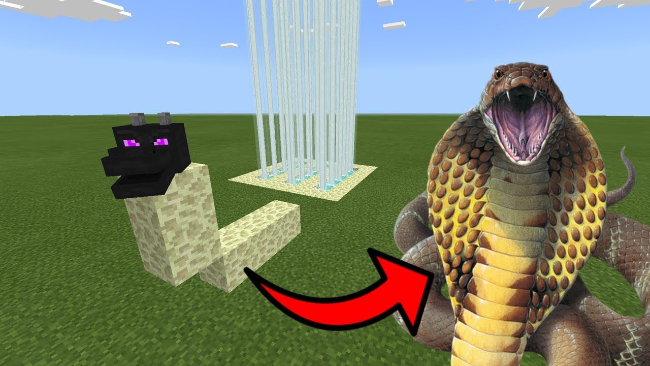 MCPE: How To Spawn a Cobra - YouTube