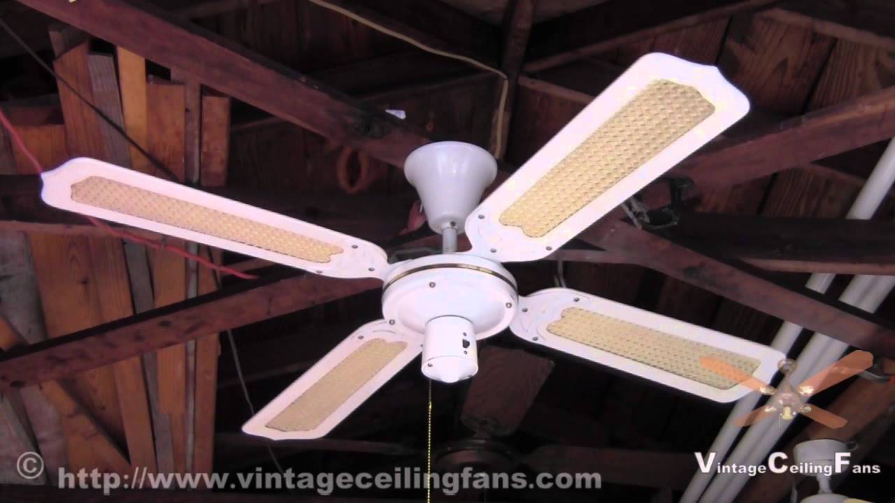 Moss Tropical Breeze TFS-48" Series Ceiling Fan - YouTube