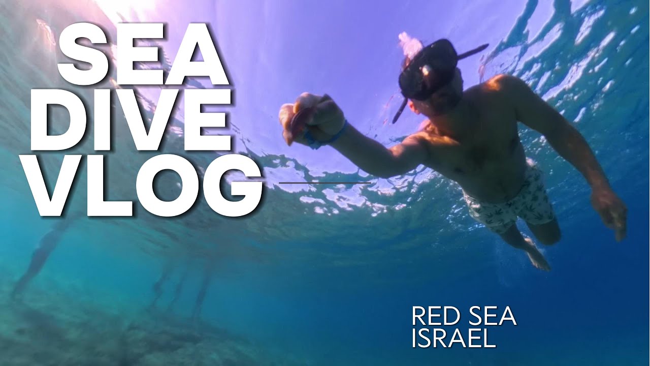 SEA DIVE VLOG WITH FRIENDS - YouTube