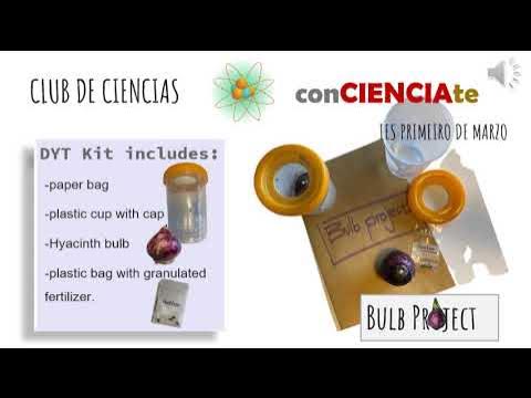 BULB PROJECT - YouTube