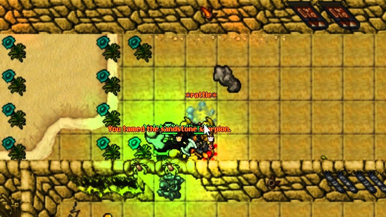 Sandstone Scorpion - TIBIA - YouTube