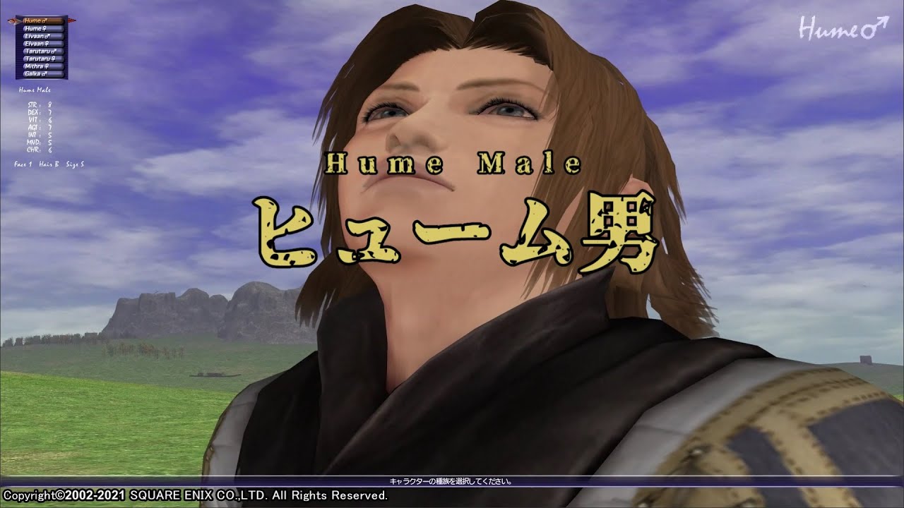 【FINAL FANTASY XI】Hume Male（キャラメイク：ヒューム男）1ループ - YouTube