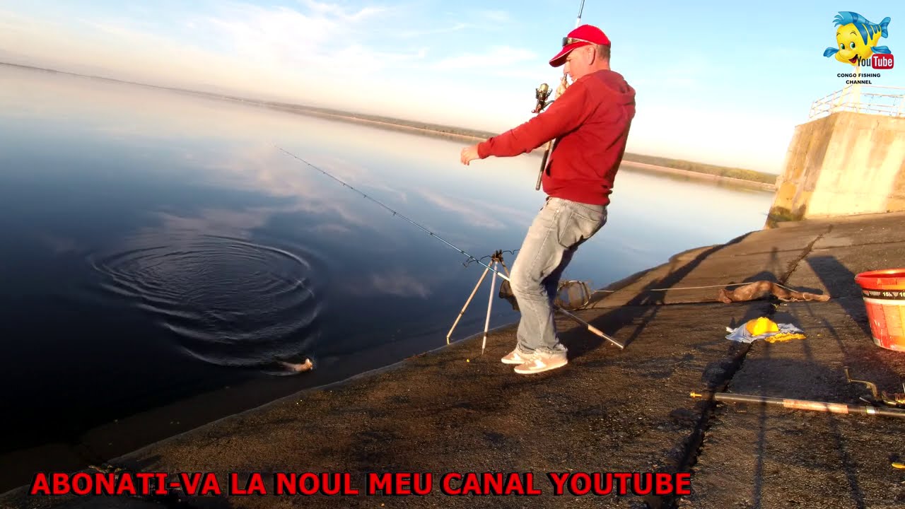 CRAPUL DE OLT E CEL MAI DESTEPT PESTE-CONGO FISHING CHANNEL - CEL MAI ...