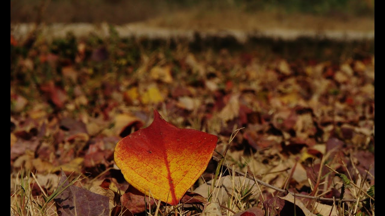 Chakwal Weather Forecast For Next 15 Days | Mosam Ka Hal | Pakistan ...