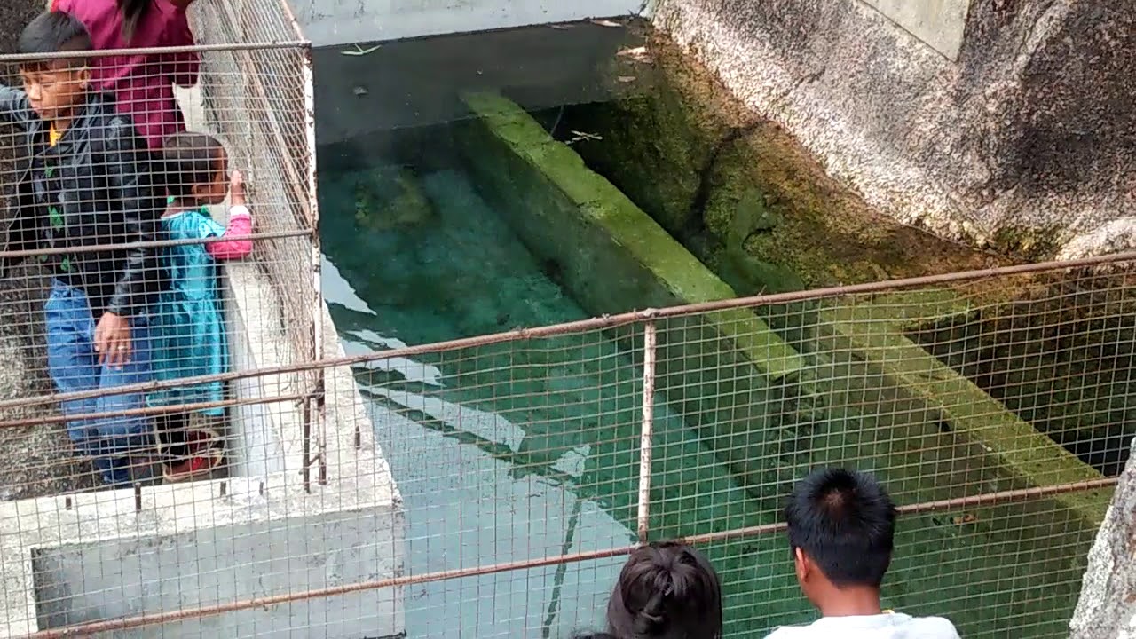 The best natural Bathing ever - YouTube