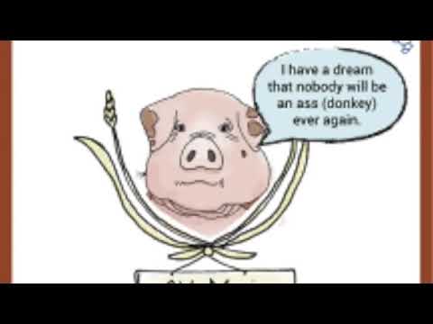 Animal Farm - YouTube