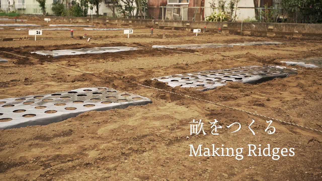 Making Ridges | 畝をつくる [Late March] - YouTube