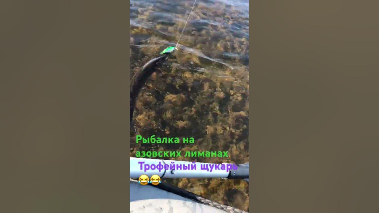Рыбалка в азовских лиманах# рыбалка в темрюкских лиманах # рыбалка на ...