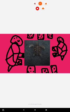 Sea turtle stop motion - YouTube