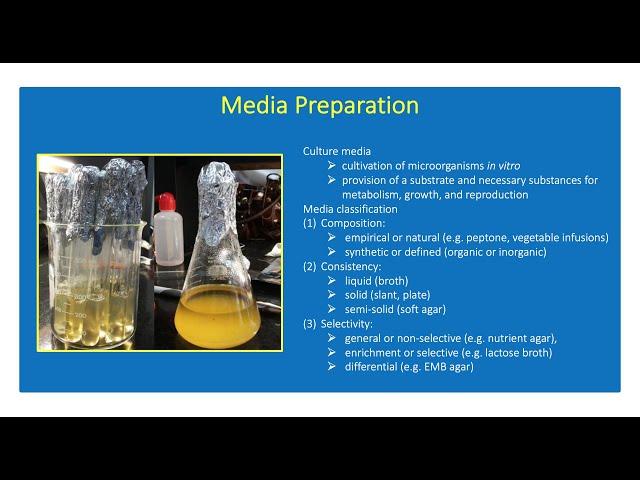 Nutrient Agar Recipe Broth Composition Chart - Infoupdate.org