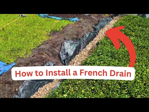Install a French Drain - How to Tutorial from Start to Finish | Bury ...