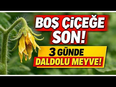 BOŞ ÇİÇEĞE SON! Bu Karışımla 3 GÜNDE Dalda Boş Yer Kalmayacak