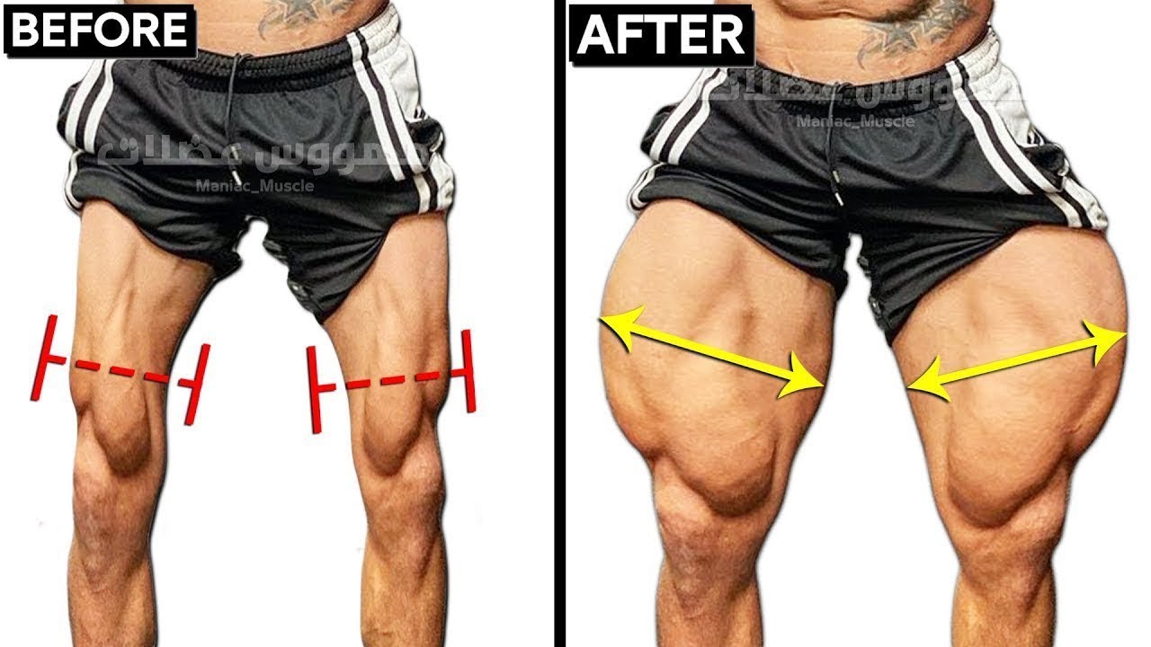 Best QUADS Exercises for Bigger & Stronger Legs – Get Results Fast ...