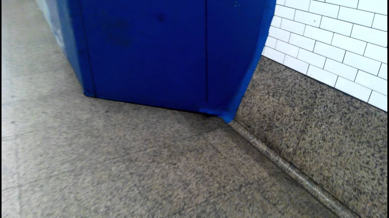 Mouse on London underground - YouTube