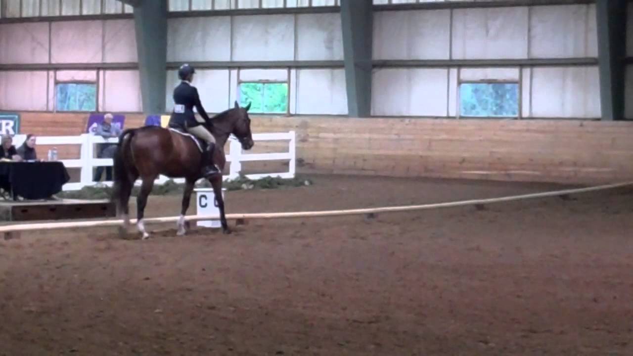 Anna Carmichael & Curacao - Novice Program Ride - ANRC - April 25, 2014 ...